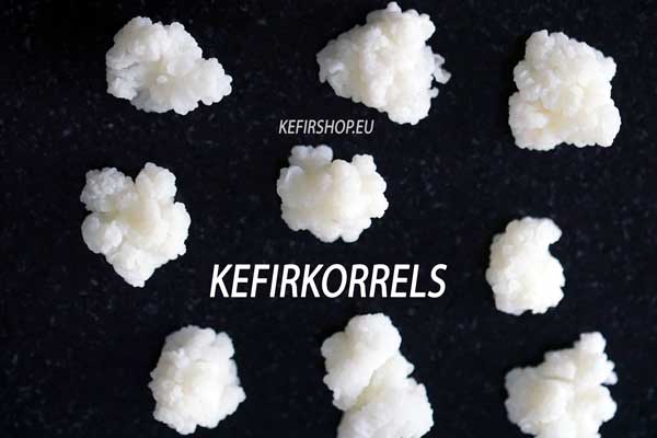 The Ultimate Guide to Maintaining Milk Kefir Grains (7 Golden Rules ...