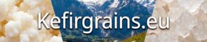 The Fascinating History & Origin of Kefir Grains | Kefirgrains.eu