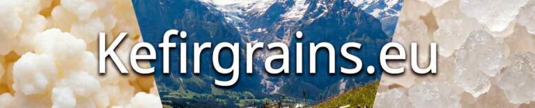 The Fascinating History & Origin of Kefir Grains | Kefirgrains.eu